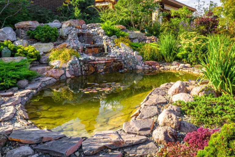 Custom Ponds | Giovanni's Designs
